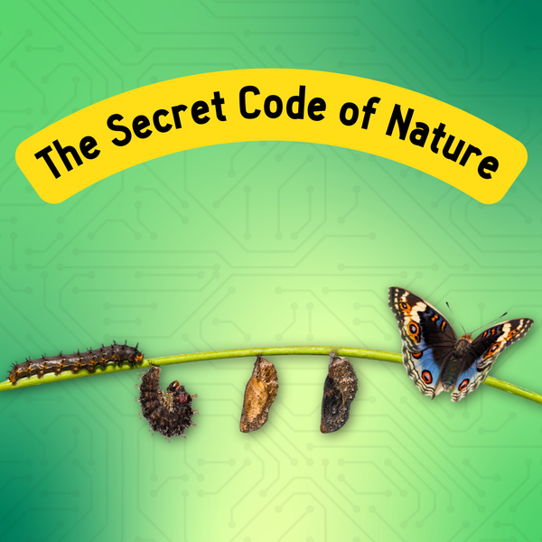 The Secret Code of Nature: How Patterns and Algorithms Shape Our World ...