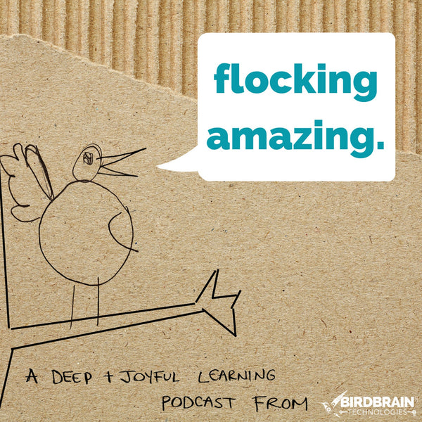 Flocking Amazing Podcast: Featuring our Colleen Graves – Joylabz ...